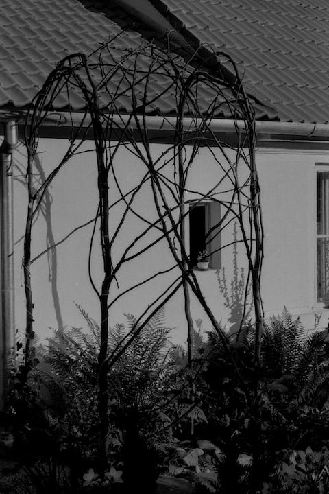 The Near & the Far. “Essay 12” from The Editioning of… | by Gavin Keeney | Medium