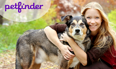 Classifying Structured Data using Keras Preprocessing Layers | by Mahrukh Waqar | Medium