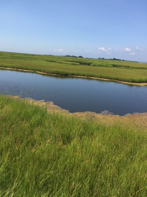 water and wind. Water and wind speak to each other in a… | by freda ...