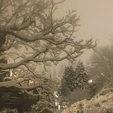 Niveous Daze. Her eyes cold; a mundane paradise… | by via lactea | Medium