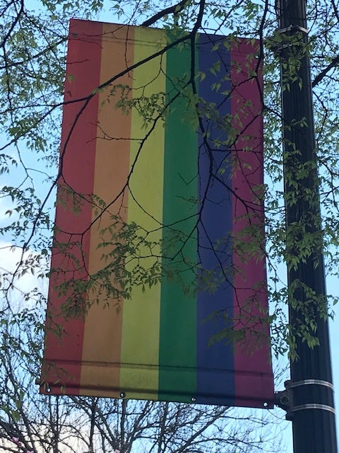 Brushing Up On OK Cupid’s 18 Sexual Orientation Options | by Jay ...