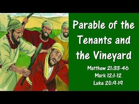 The Rejected Stone: Lessons from the Vineyard | by FRAY BERT, OAR | Medium