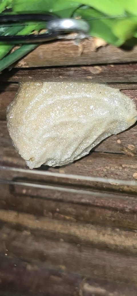 The Sacred Standstill: A Woman’s Fire, A Soul’s Fight | by The Momma ...