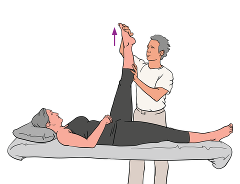 Mechanism of Action for Muscle Energy Techniques | by Dr. Mukul ...