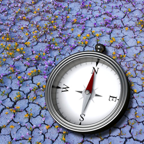 PART 1: YOUR PASSION FOR DESIGN: Is It Necessary To Have A Passion? | by Warren Feld | Design ...