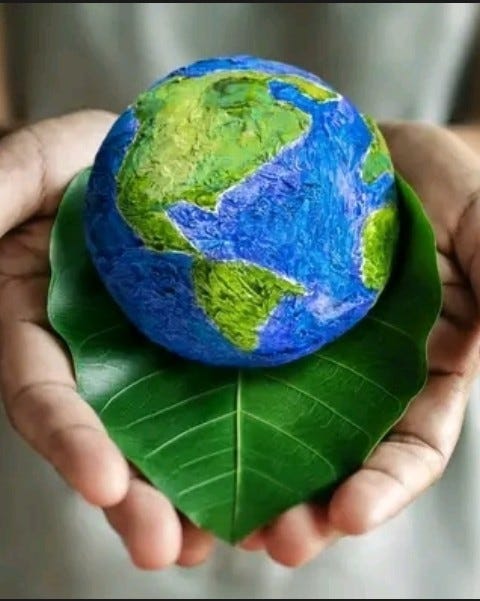 Mr. Environment. | by Hajj Munga - Mr. Environment. | Jun, 2023 | Medium