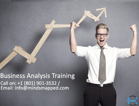 Online Business Analyst Training. MindsMapped is the leading business… | by Subramanian G | Medium