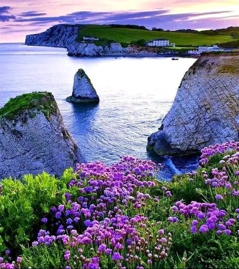 Biodiversity ~ Eco Poem | by Hajj Munga - 'Mr. Environment.' | Poetry ...