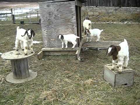 PLAYING AGAINST THE BOX . . .. Those who have followed me can now… | by ...