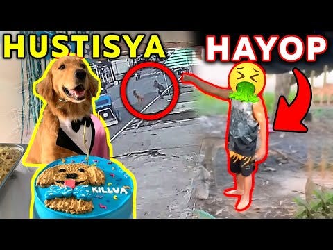 Killua Dog CCTV Footage: Fatal Attack in Bicol - Mahii Jaan - Medium
