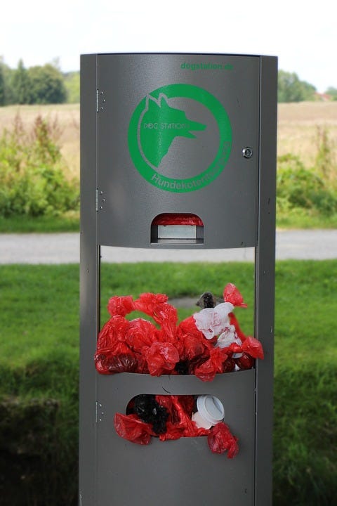 In Ground Dog Waste System