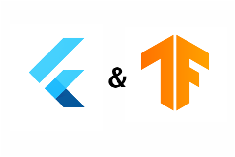 Integrating TensorFlow Lite with Flutter for Computer Vision | by ...