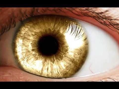 Do you remember the first time you locked eyes with someone? | by ...