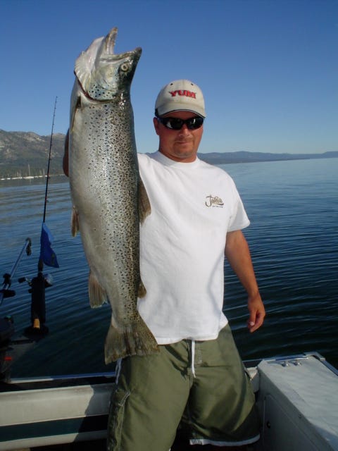 5 Tips for Better German Brown Fishing | by California Sportsman | Medium