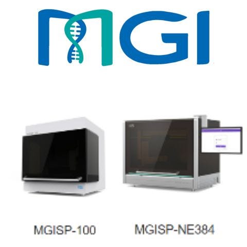 Transform Your Research with MGI Magnetic Beads: Precision and ...