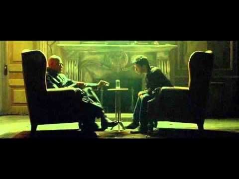 How Deep Does the Rabbit Hole Really Go? Deeper than you can Possibly Imagine. | by Laurie ...