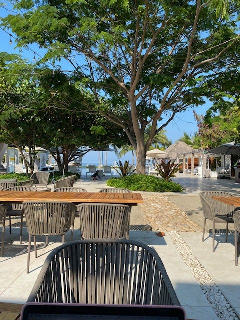 The First Birthday Without Her. My mother would have been 79 years old ...