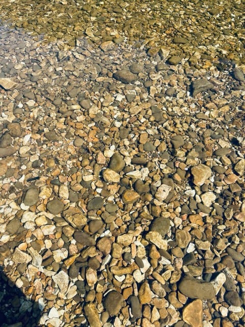 The Buffalo: America’s First National River | by Dr. Shawn M. Hettinga ...