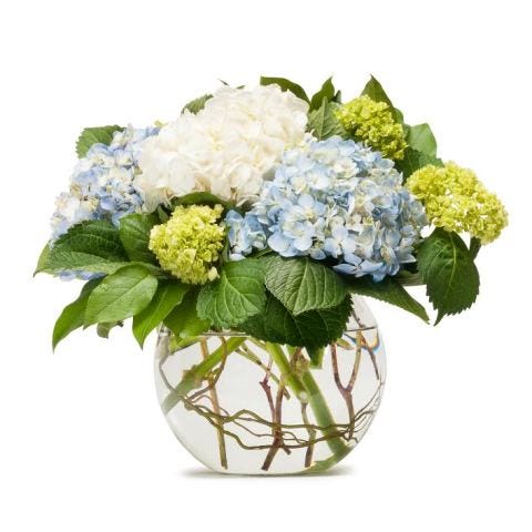 phoenix flower shop. Arizona Florist | by Arizona Florist | Medium