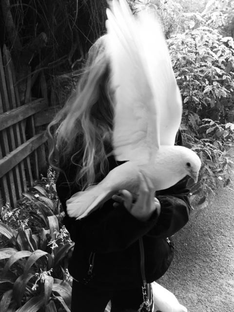 I caught a bird with my bare hands Watched it morph into a rat It knew ...