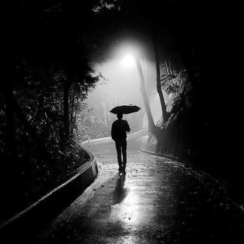 A Walk in the Dark. The woods were as dark and silent as a… | by iQra ...