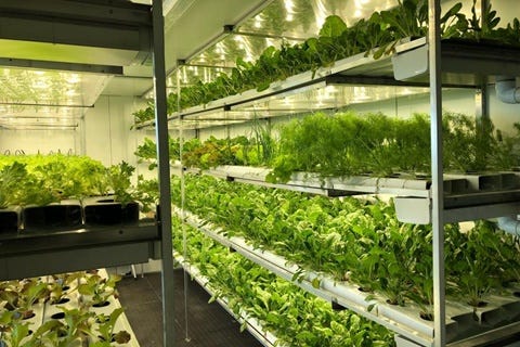 Hydroponics Melbourne. Hydroponics is a modern farming method… | by ...