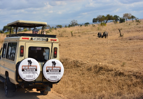 3 Days Tanzania Safari to Mikumi from Dar es salaam | by Rede Tours and ...