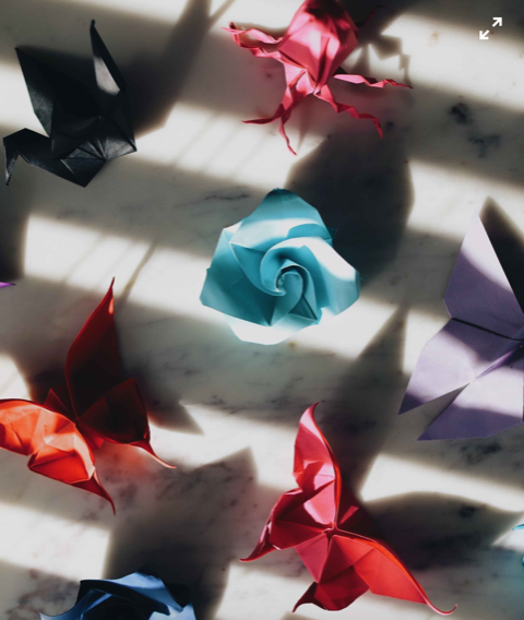 Everyday alchemy: Participating in creation | by Pamela Haines | Oct ...