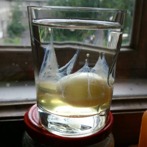 Использование яйца для диагностики и снятия порчи — примеры | by Андрей ...