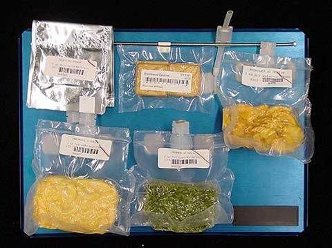 Astronaut Grub: How to Eat Like You’re on Mars (Without Tasting Like ...