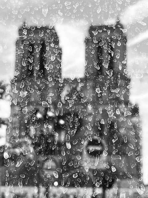 How To Capture What’s Not There. This photo of the Notre Dame is perhaps… | by Michelle Ciani ...