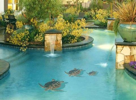 Add character, color, and life in your Swimming Pool with Turtle ...