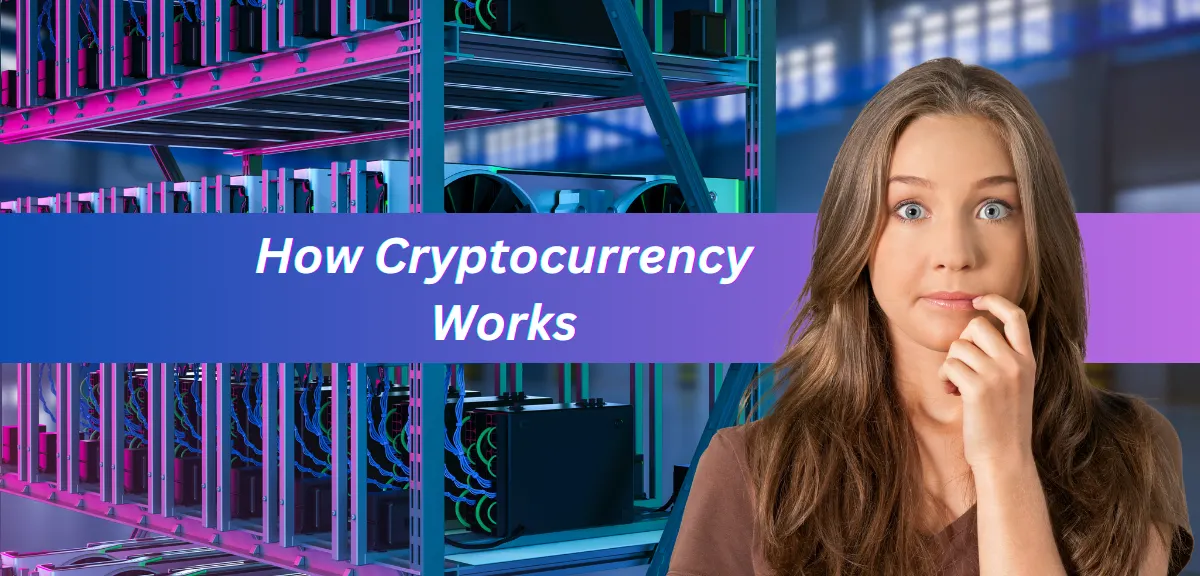 Dimuthu Sasanka Deshapriya | Full-Stack Developer