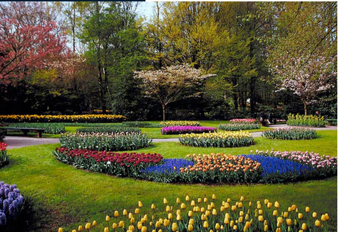 The Impact Of Color In Landscape Design | by Angelo Millena Australia ...