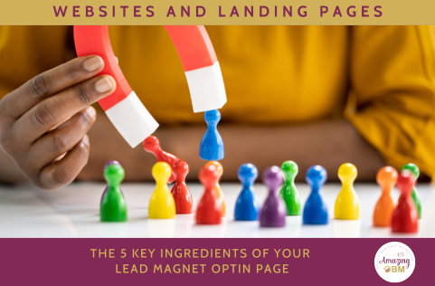 The 5 Key Ingredients of Your Lead Magnet Optin Page | by Lori Young ...