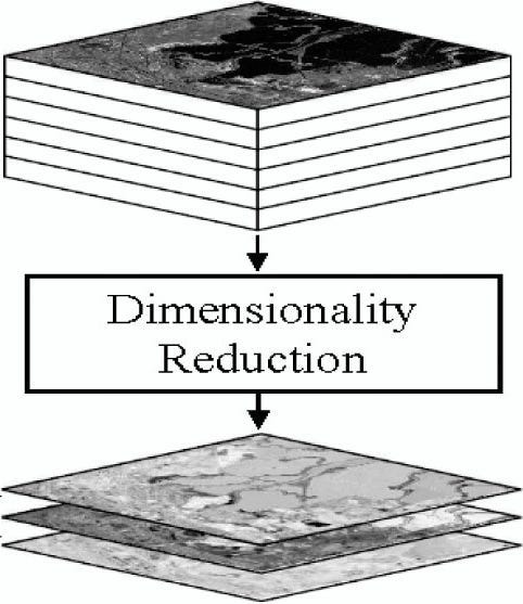 Dimensionality Reduction. Dimensionality reduction is a technique… | by Manpreet Kaur | Medium