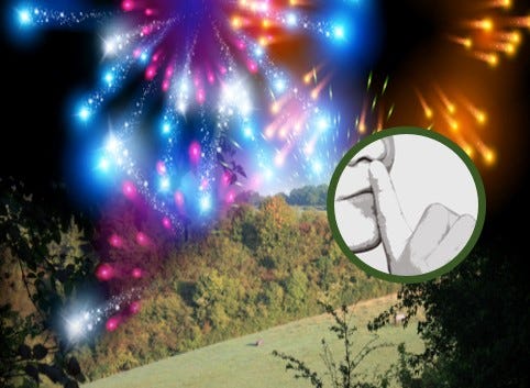 Petition update · Would you settle for QUIET FIREWORKS? · Change.org ...