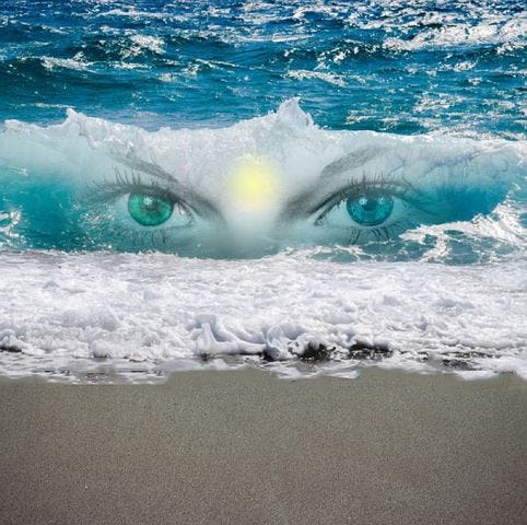 How to Keep Social Media Sites from PULLING THE WOOL OVER YOUR EYES ...