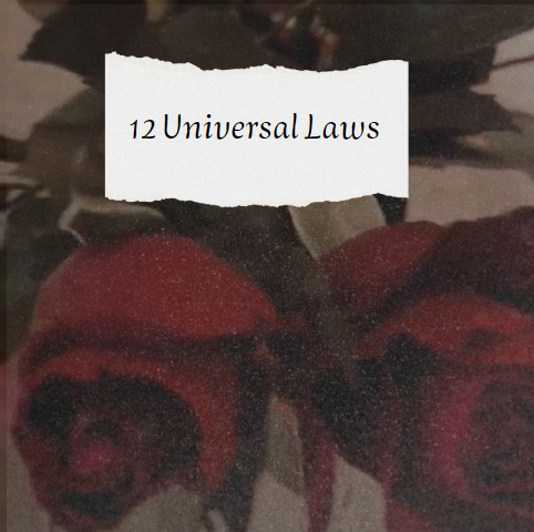 The 12 Universal Laws. Today I I want to deal with some… | by Annalisa ...