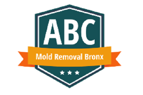 ABC Mold Removal Bronx - Abcmoldremovalbronx - Medium