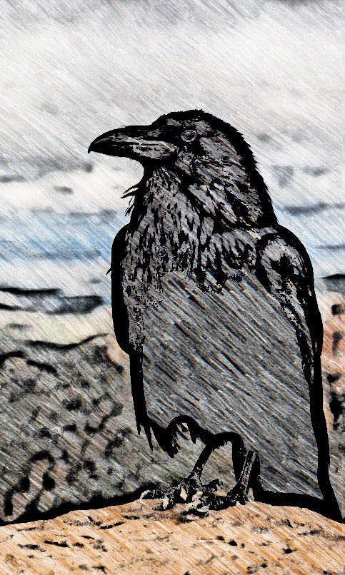 Haiku: Raven. Daily Dose of Philosophy | by Kayo Zaduban | ILLUMINATION ...