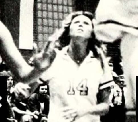 We Were Born to Compete. Embracing our competitive nature | by Anne ...