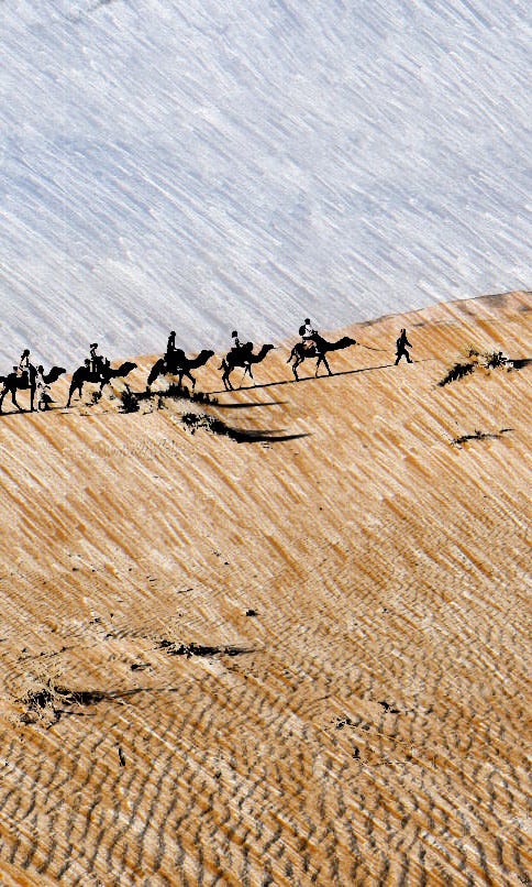 Haiku: To Lead. Daily Dose of Philosophy | by Kayo Zaduban ...