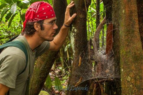 My first solo research trip to a Costarican premontane rainforest | by ...