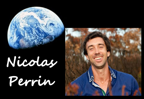 One World in a New World. with Nicolas Perrin — Author… | by Zen ...