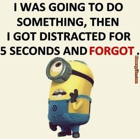 Life’s Distractions. We have to be careful not to get… | by Jennifer ...