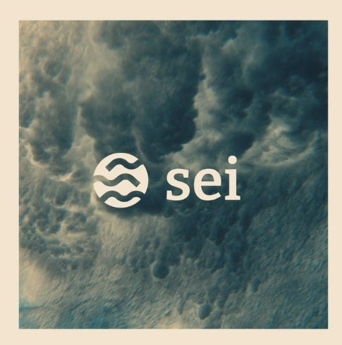 Sei For Beginners. Sei-what is this? | by Sanbkap | Medium