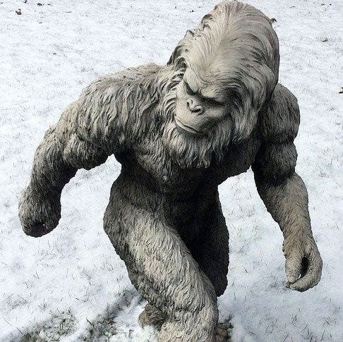 Tibetan Bear Yeti