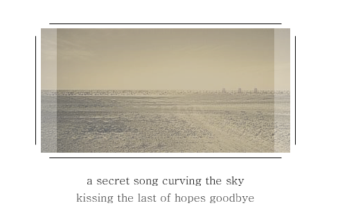 Vintage DB 92: Dorothee Lang’s “The Space Behind the Ridge,” DB 6 | by Rose McNeill | ANMLY | Medium