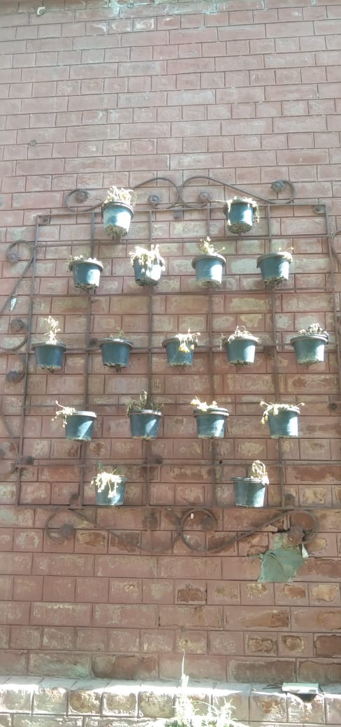 #Photo Journal:. I kicked off my day with a light… | by Arooj Hashmi ...